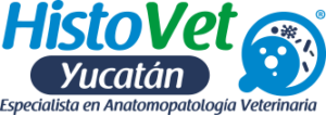 Histovet Yucatán